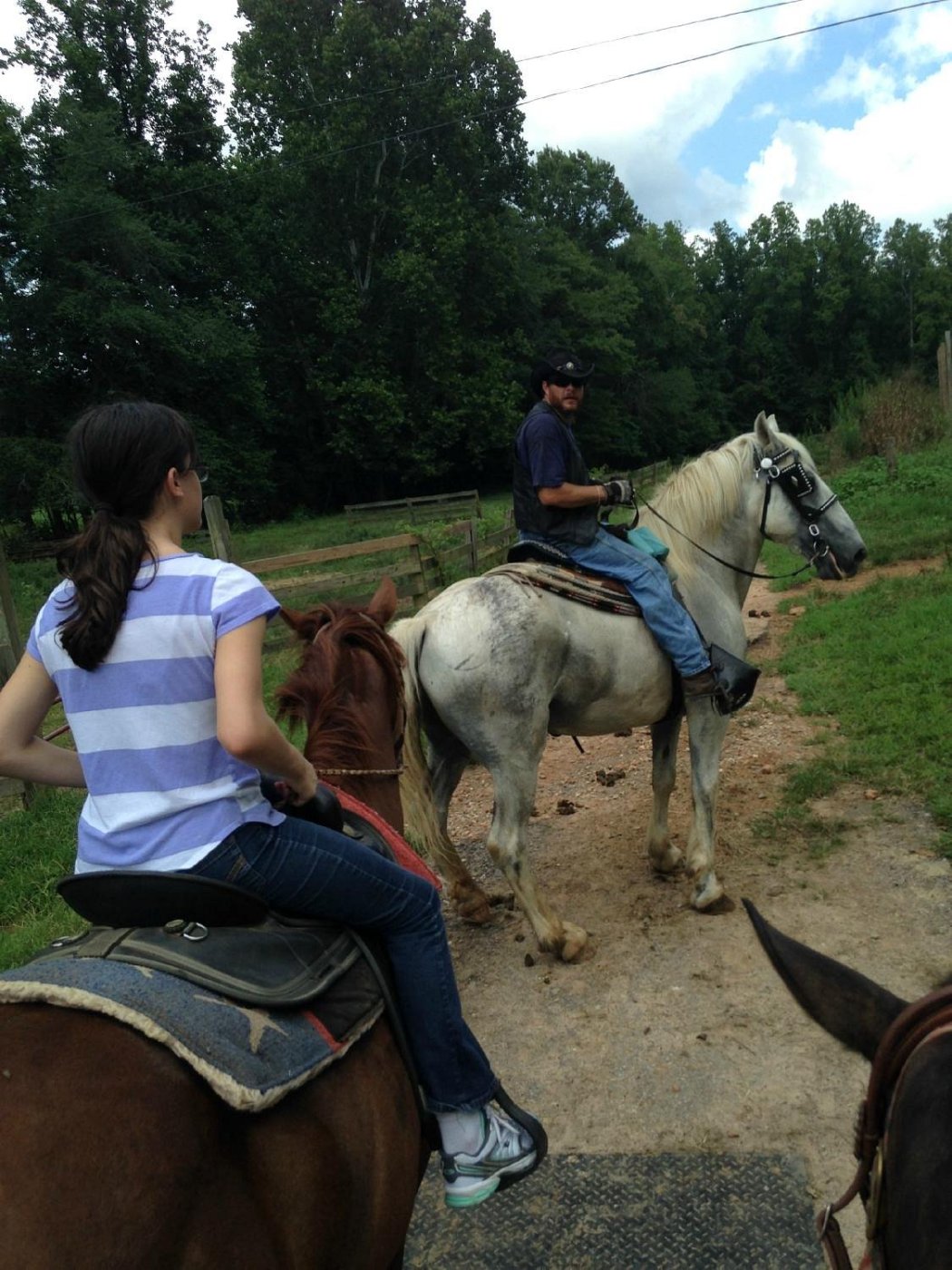 Dinner Wagon Ride | Dahlonega Carriage and Horse Rides
